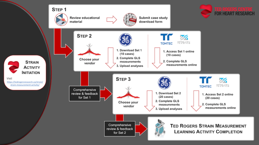 Measuring Strain Using Echocardiography | Ted Rogers Centre for Heart ...